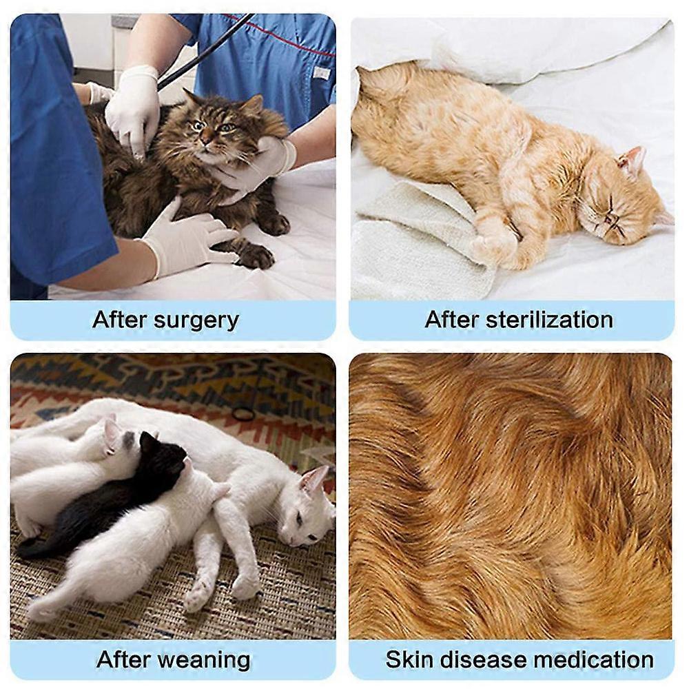 Professional Cat Surgery Suit, Breathable Elastic Cotton, E-Collar ...
