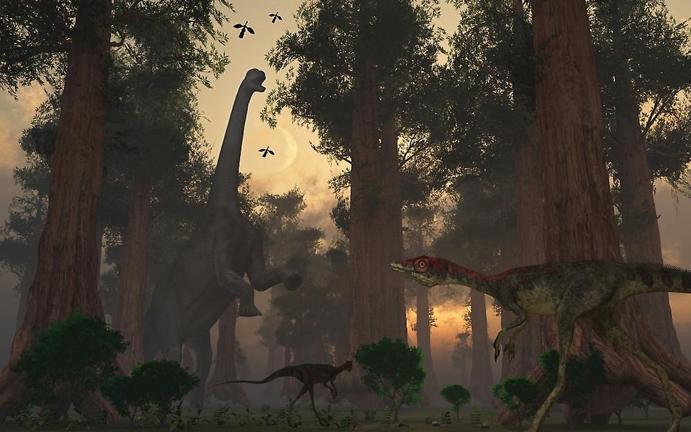 A Camarasaurus dinosaur feeding while a pair of Compsognathus sneak ...