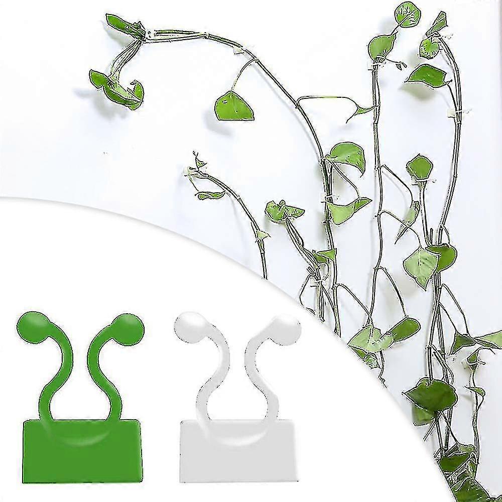 Invisible Plant Climbing Fixture Clip Rattan Wall Fixed Hook | Fruugo UK