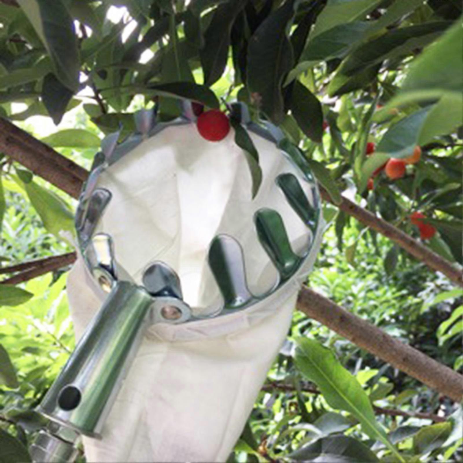 Fruit Picker Head Basket Fruit Picking Tool Labor-Saving Fruit Picker ...