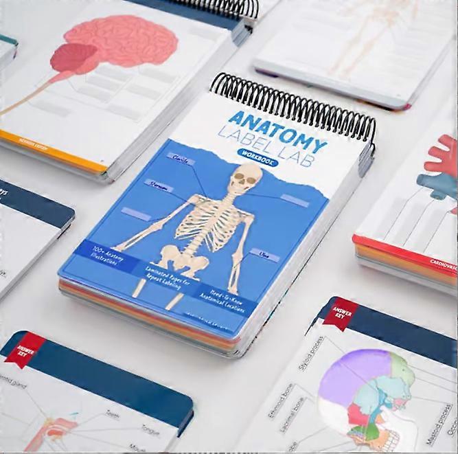 Anatomy Label Lab Workbook,Anatomy Terms Workbook,Human Anatomy ...