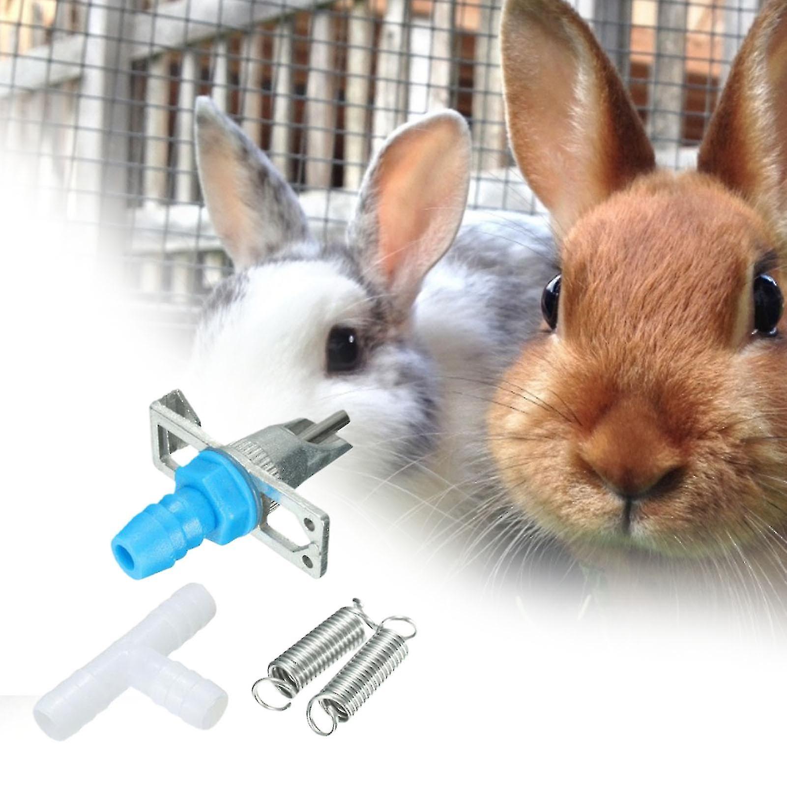 5 Sets Drinking Water Mouth Automatic Double Springs Pet Supplies Bunny ...