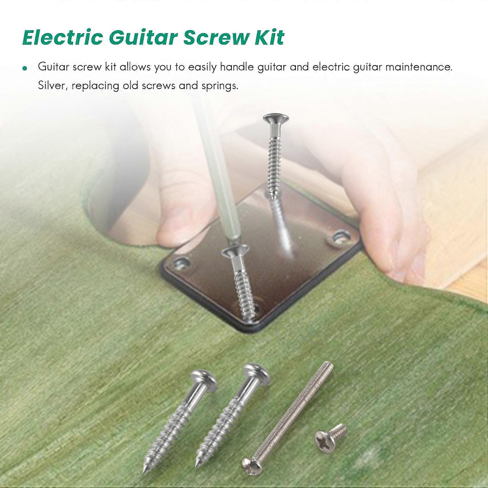 204 Pcs Guitar Screw Kit 9 Types Assortment Set with Springs for ...