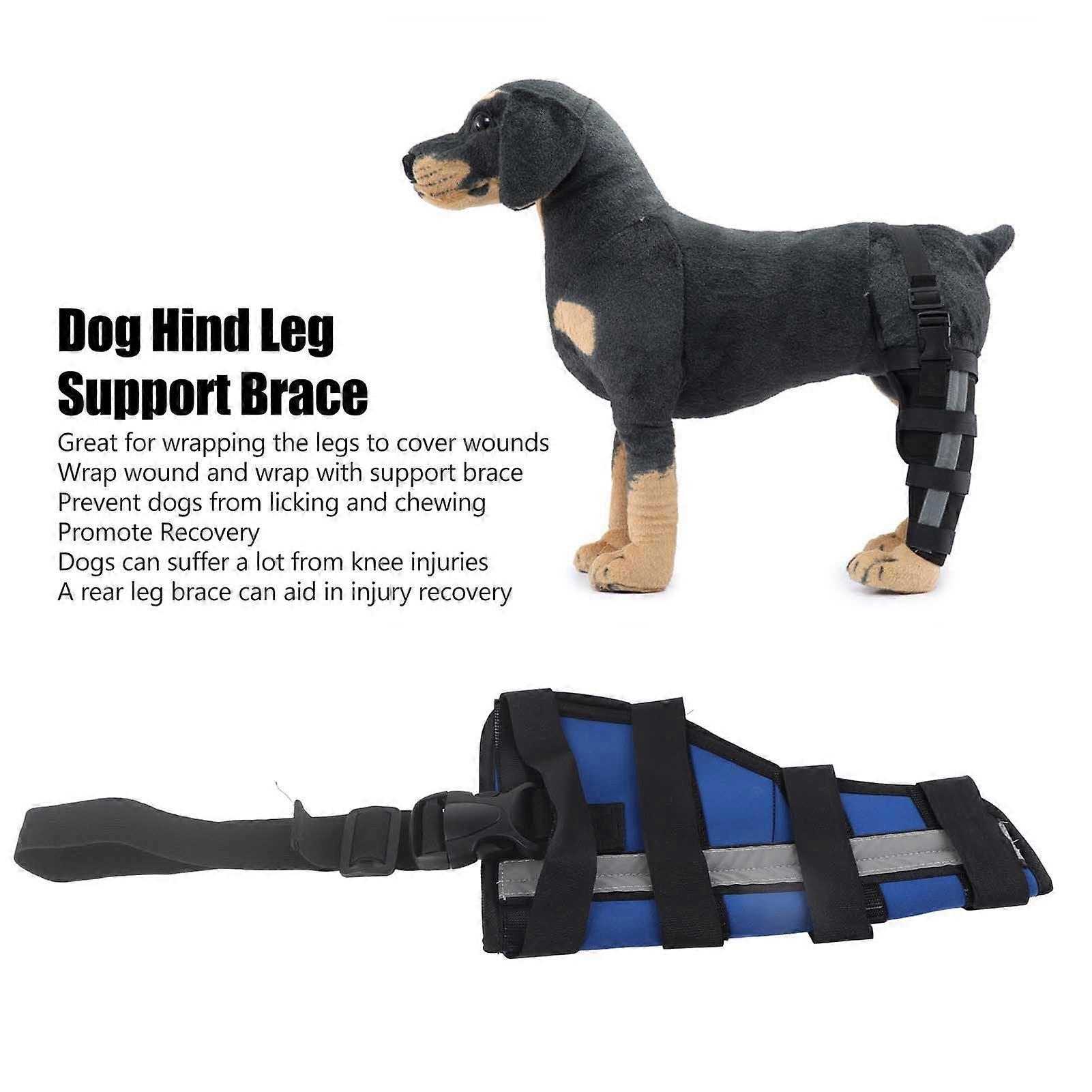 Dog Rear Leg Hock Brace Breathable Stable Dog Leg Joint Wraps with ...
