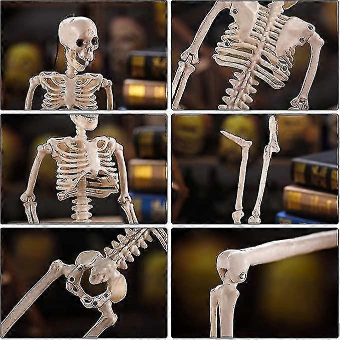 2 Pack 15.75 Inch Halloween Skeleton Full Body Posable Halloween ...
