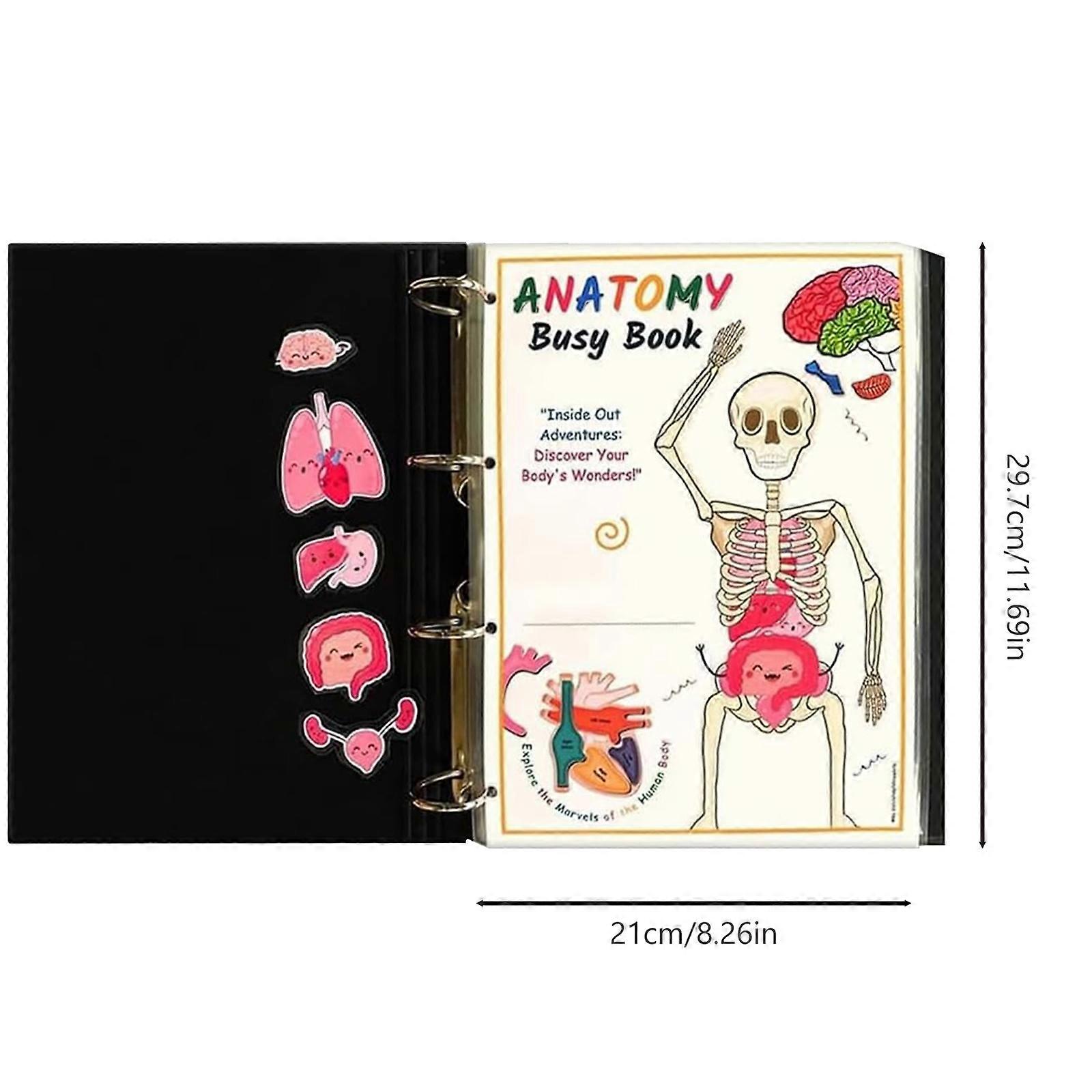 Human Anatomy Busy Book for Kids - A4 Anatomy Learning Binder Early ...
