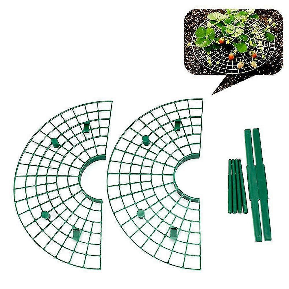3pcs Strawberry Plant Support Holder Fruit Growing Frame Strawberry ...