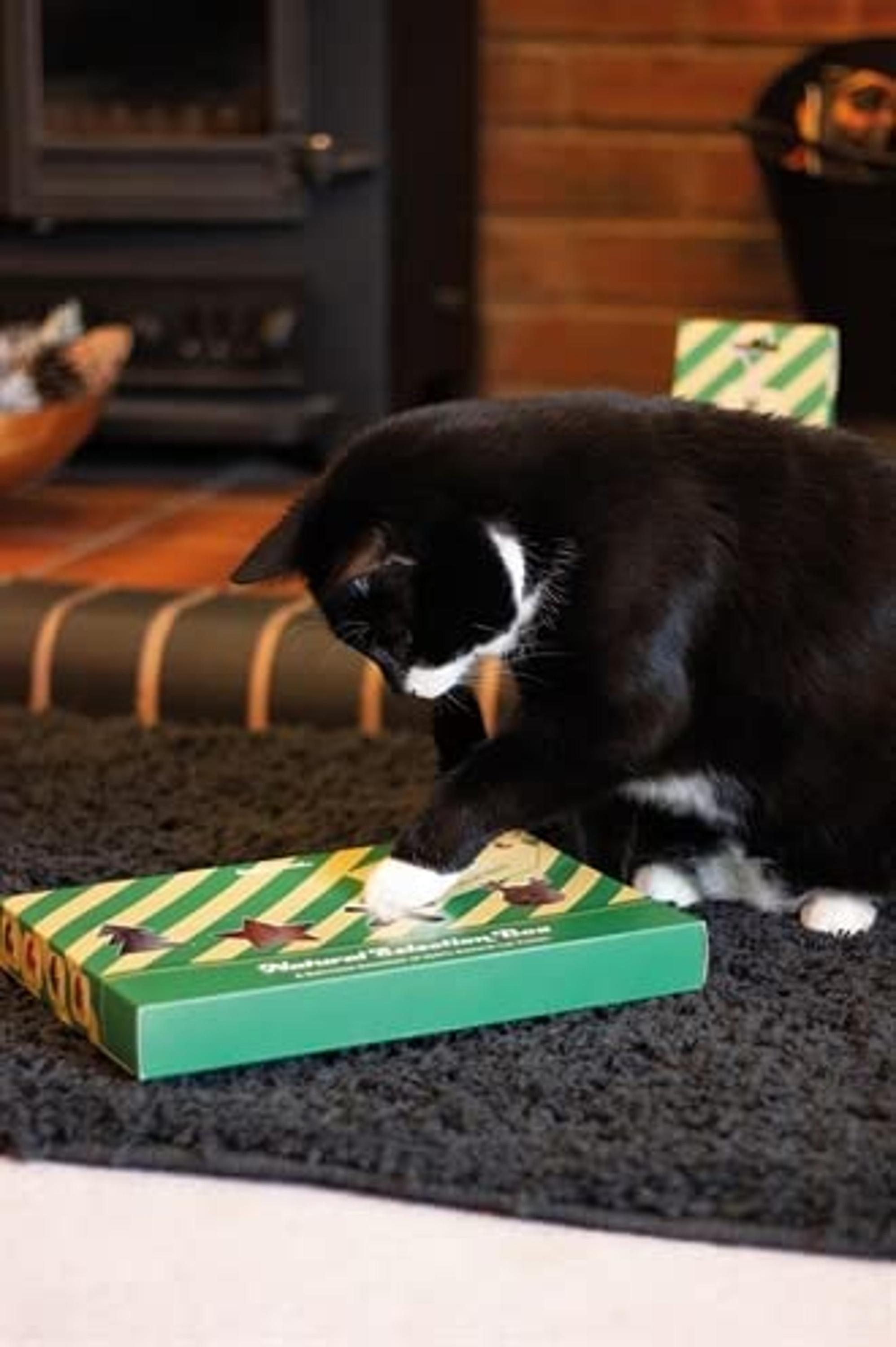 Rosewood Christmas - Festive Natural Treat Selection Box For Cats ...