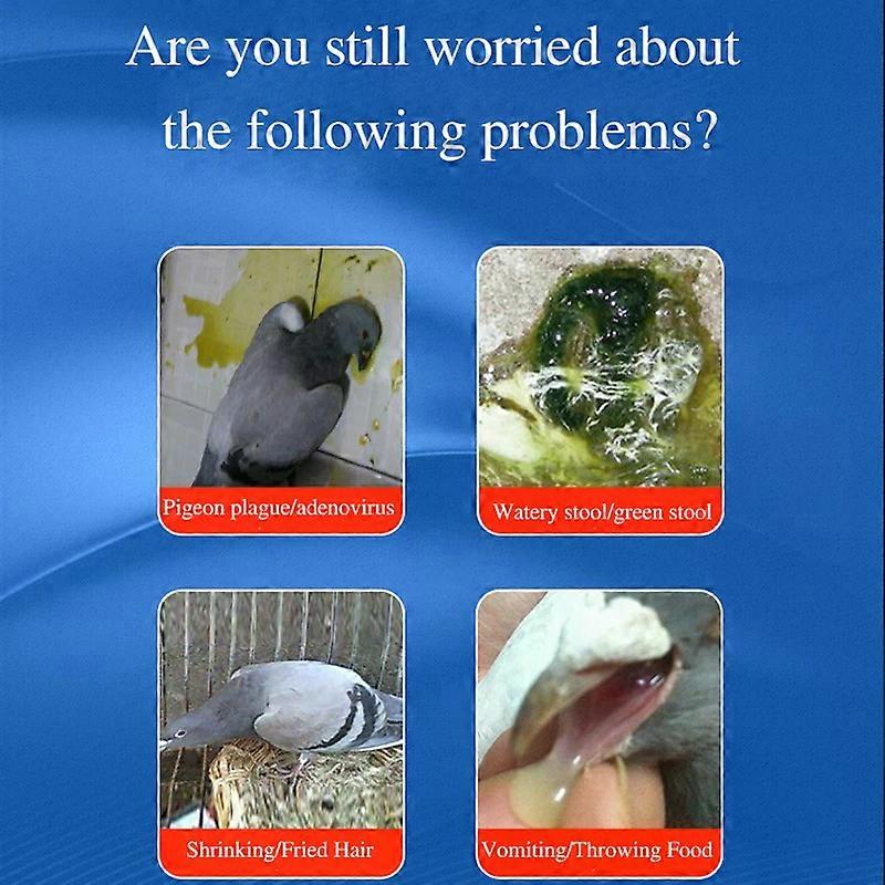 Green water stools, pigeon medicine, Newcastle disease, bursitis ...