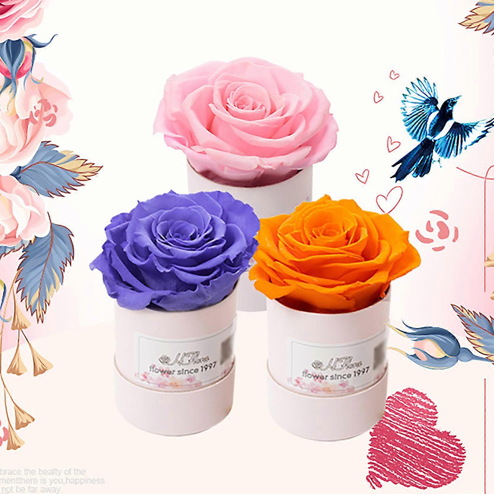 Mini Hug Bucket Preserved Flowers Small Flower Bucket Round Immortal ...