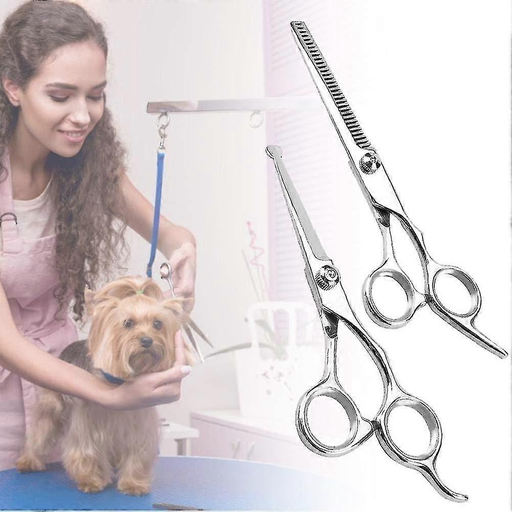 Pet Grooming Scissors Set Stainless Steel Safety Round Tip Hairdressing ...