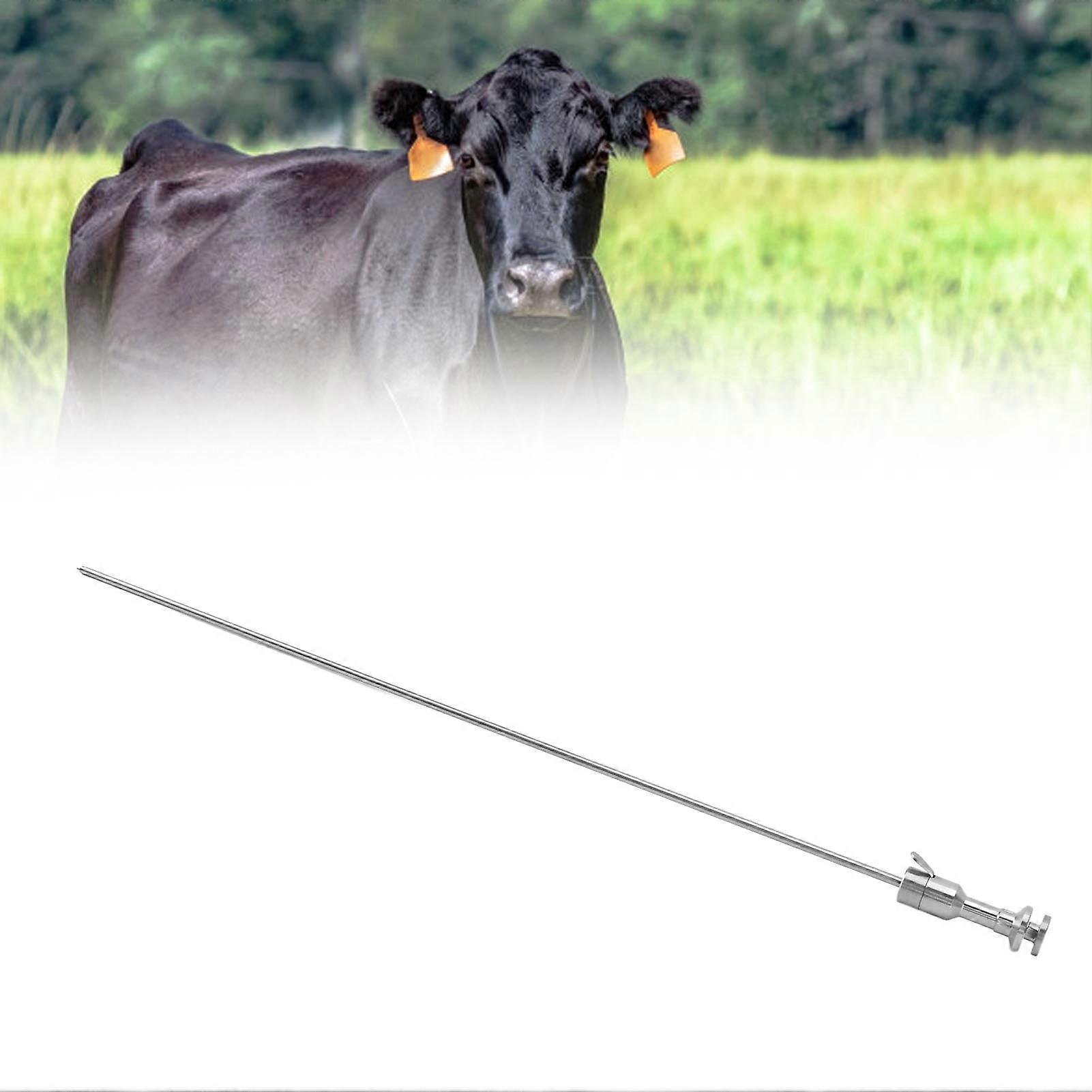 Bovine Insemination Pipe 304 Stainless Steel 46cm Cattle Catheter ...