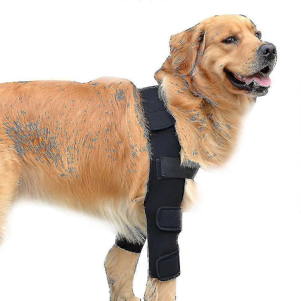 Dog Front Leg Hock Braces Elbow Protector Canine Wrap Protects Wounds ...