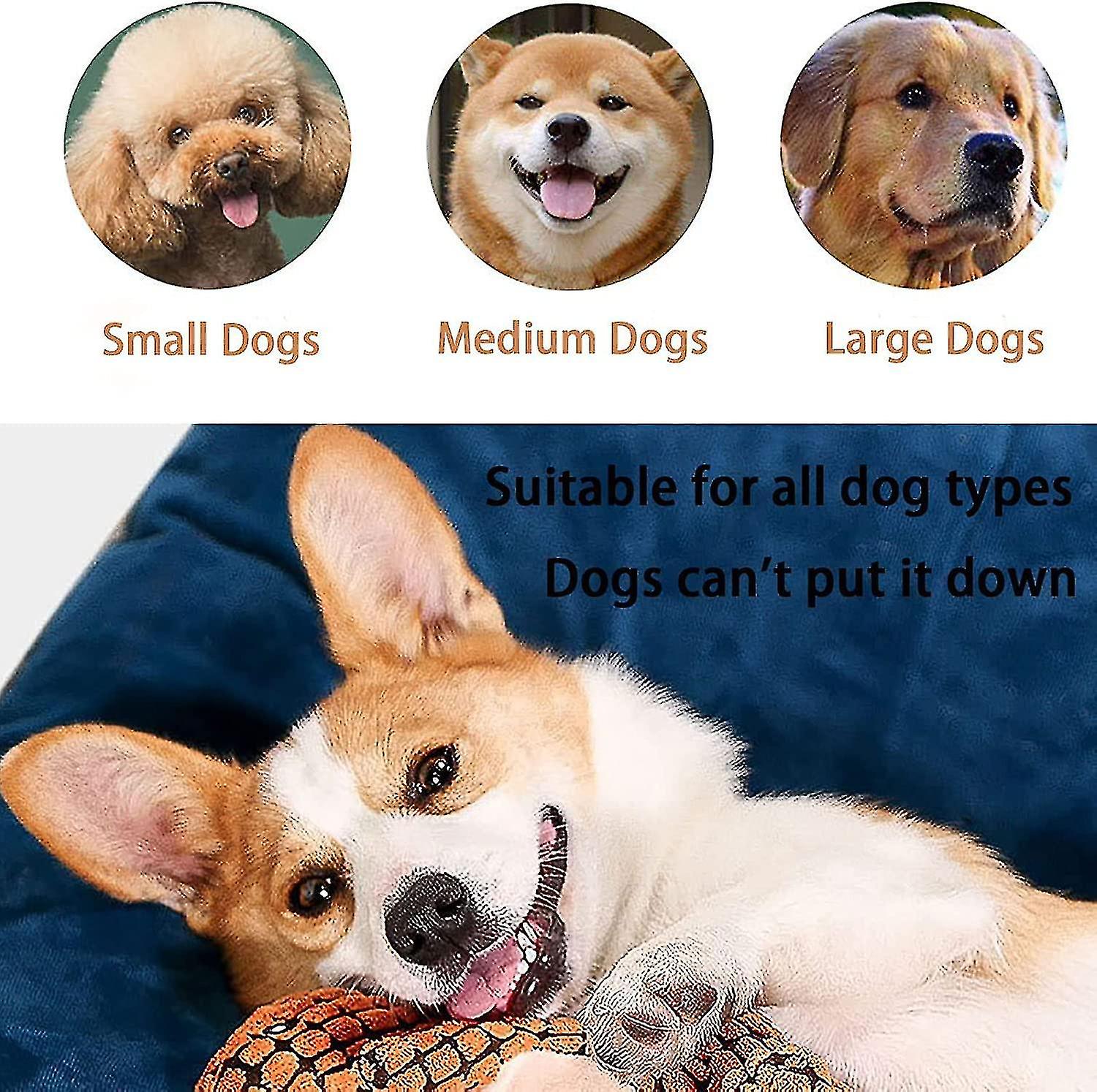 Indestructible Robust Dino, Squeaky Dog Toys For Aggressive Chewers ...