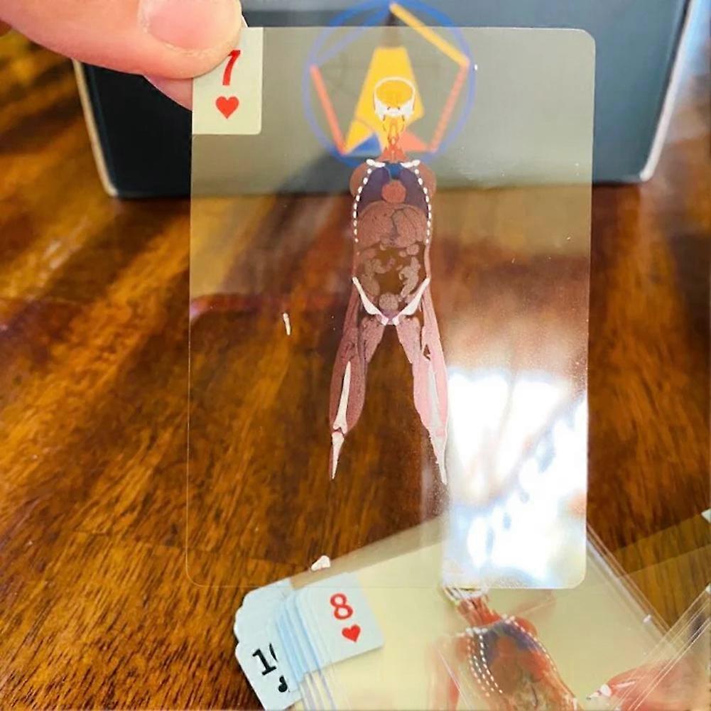 Human Anatomy Playing Cards - The Body Deck with Organ & Muscle ...