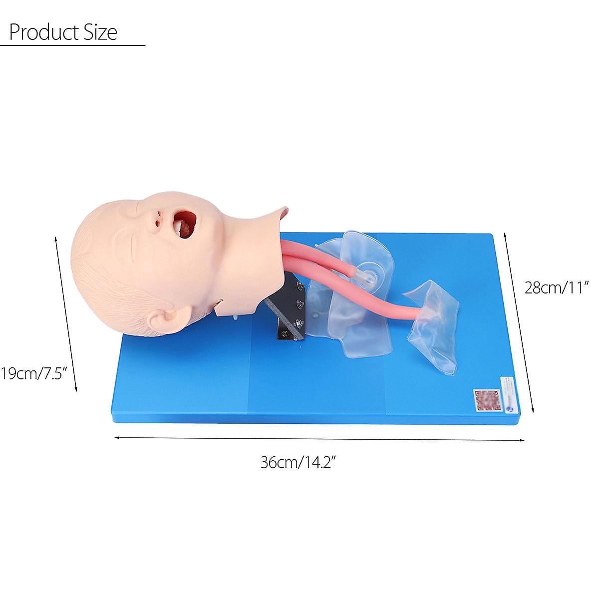 Intubation Manikin Study Teaching Child Model Airway Management Lab PVC ...