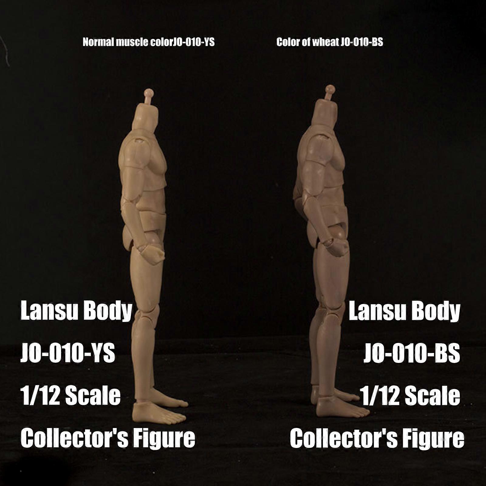 6Inch Realistic Muscle Body Model Figure With Flexible Joints 1/12 ...