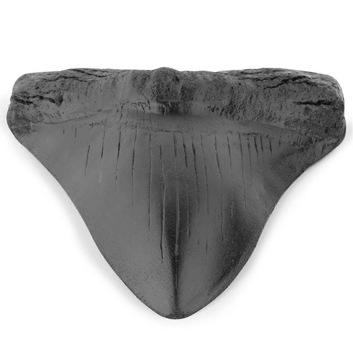 Resin Megalodon Tooth Fossil Giant Tooth Megalodon Tooth Replica ...