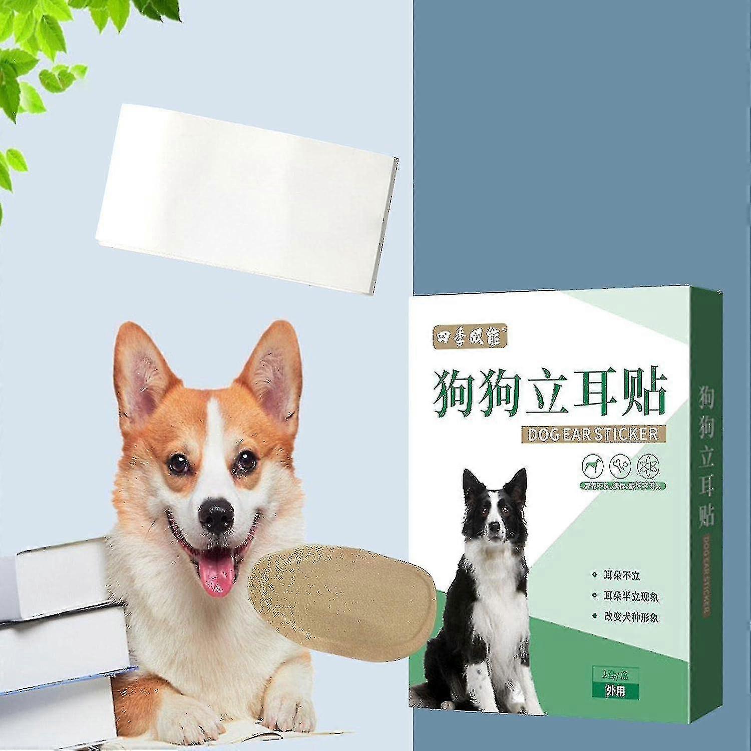 Dog Ear Stand Stickers Dog Ear Fixed Correction Vertical Holder Easy To ...