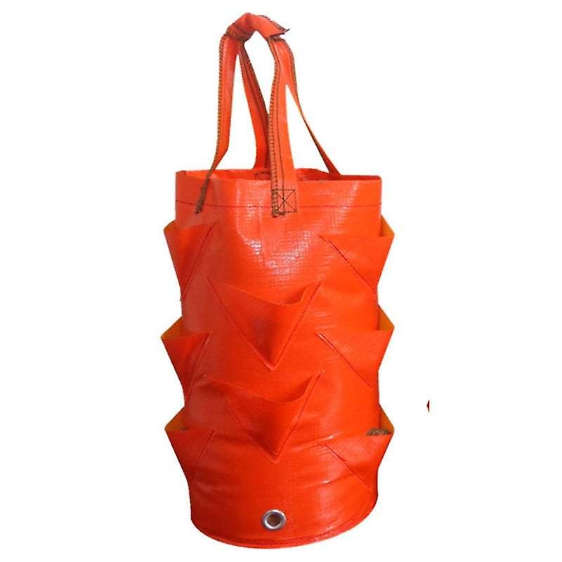 Hod Health And Home Strawberry Growing Bag Hanging Plant Garden Fruit ...