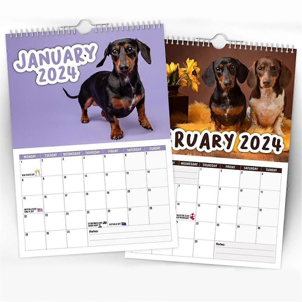 Paper 2024 Cheeky Dachshunds Calendar New Year's Gifts Gift Wall ...