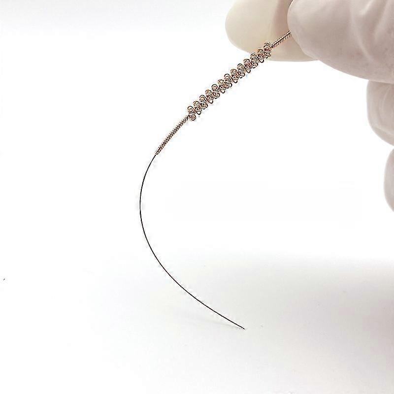 20pcs Large Size Acupuncture Needle Awn Needle Thick Panlong Handle Red ...