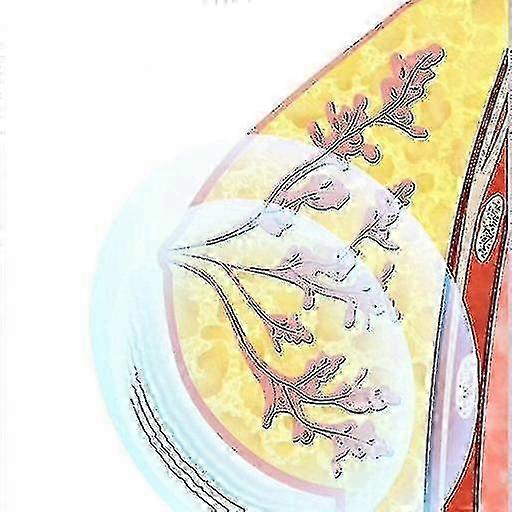 Electric Massage Bra Enlarges The -h-hy | Fruugo UK