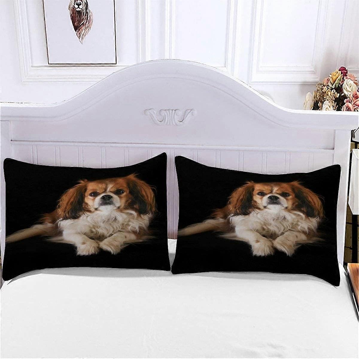 Teen Duvet Cover Charles Cavalier Spaniel Posing Double Bed Set with ...