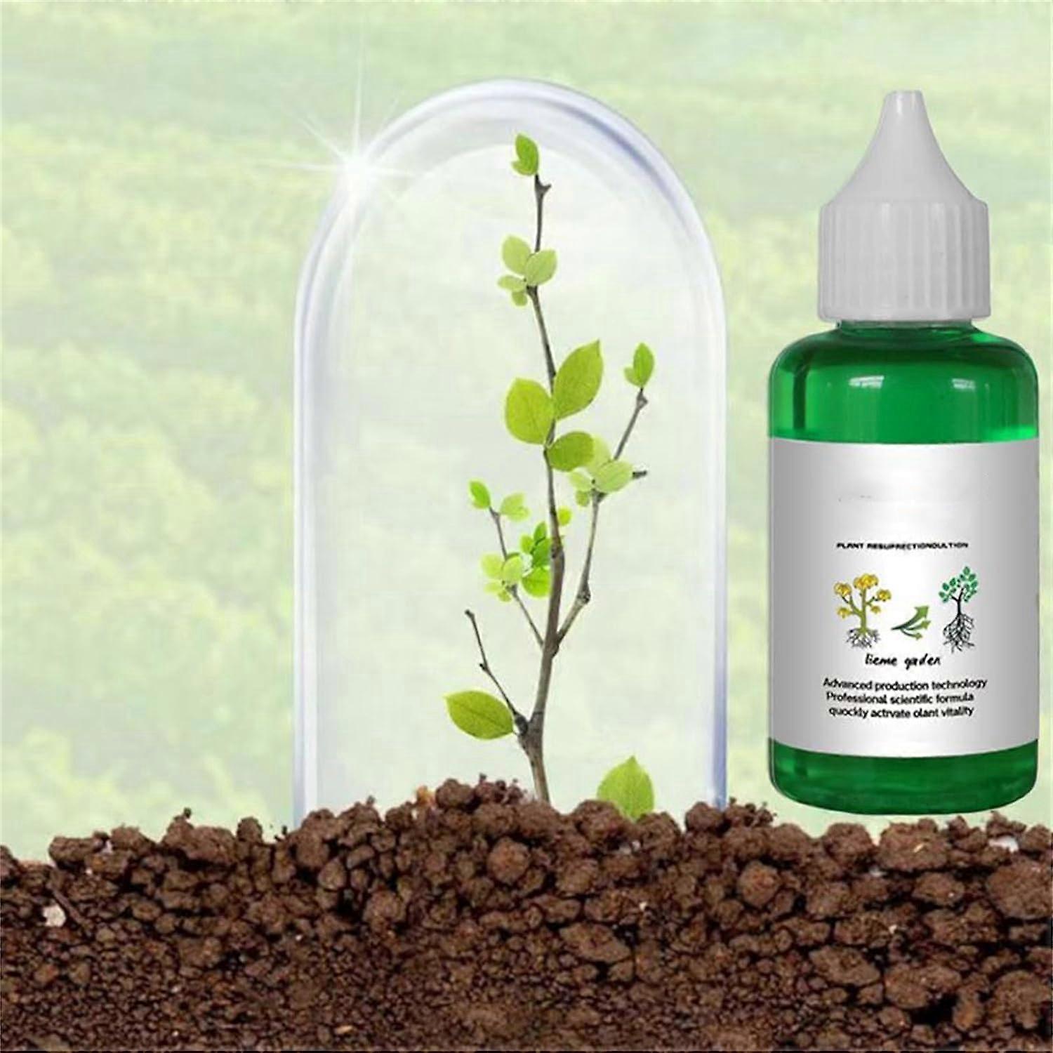 Plant and Flower Activation Liquid Solution, Plant Growth Enhancer ...