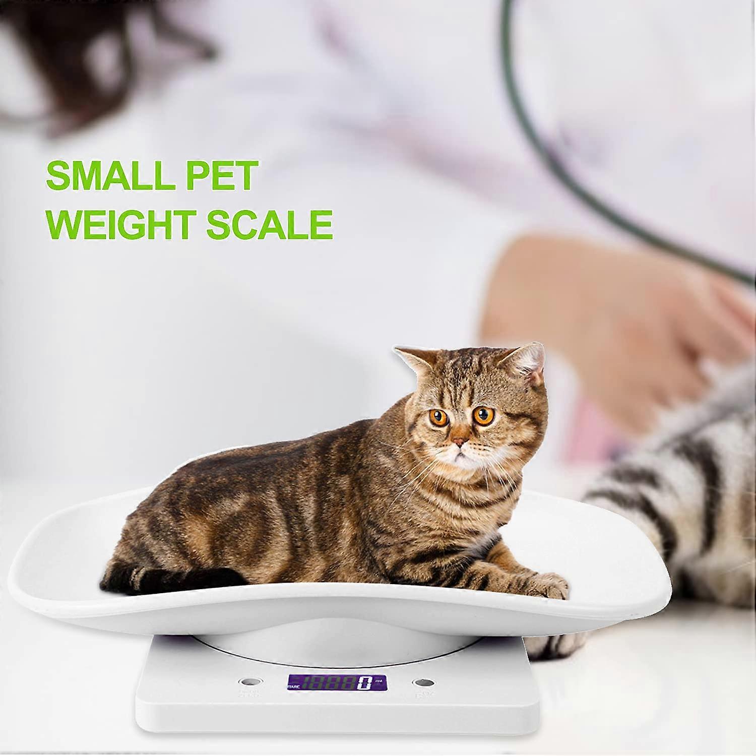 Digital Pet Scale, Pet Weight Scale, 10 kg/1 g, Digital Small Cats Dogs ...