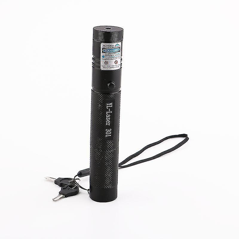 Laser 301 Purple Laser Pointer Pen Adjustable Focus Super Laser Visible ...