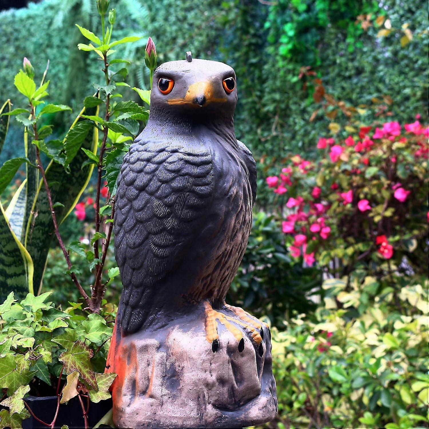 Large Realistic Hawk Eagle Scarecrow Garden Bird Repeller Anti Pigeon ...