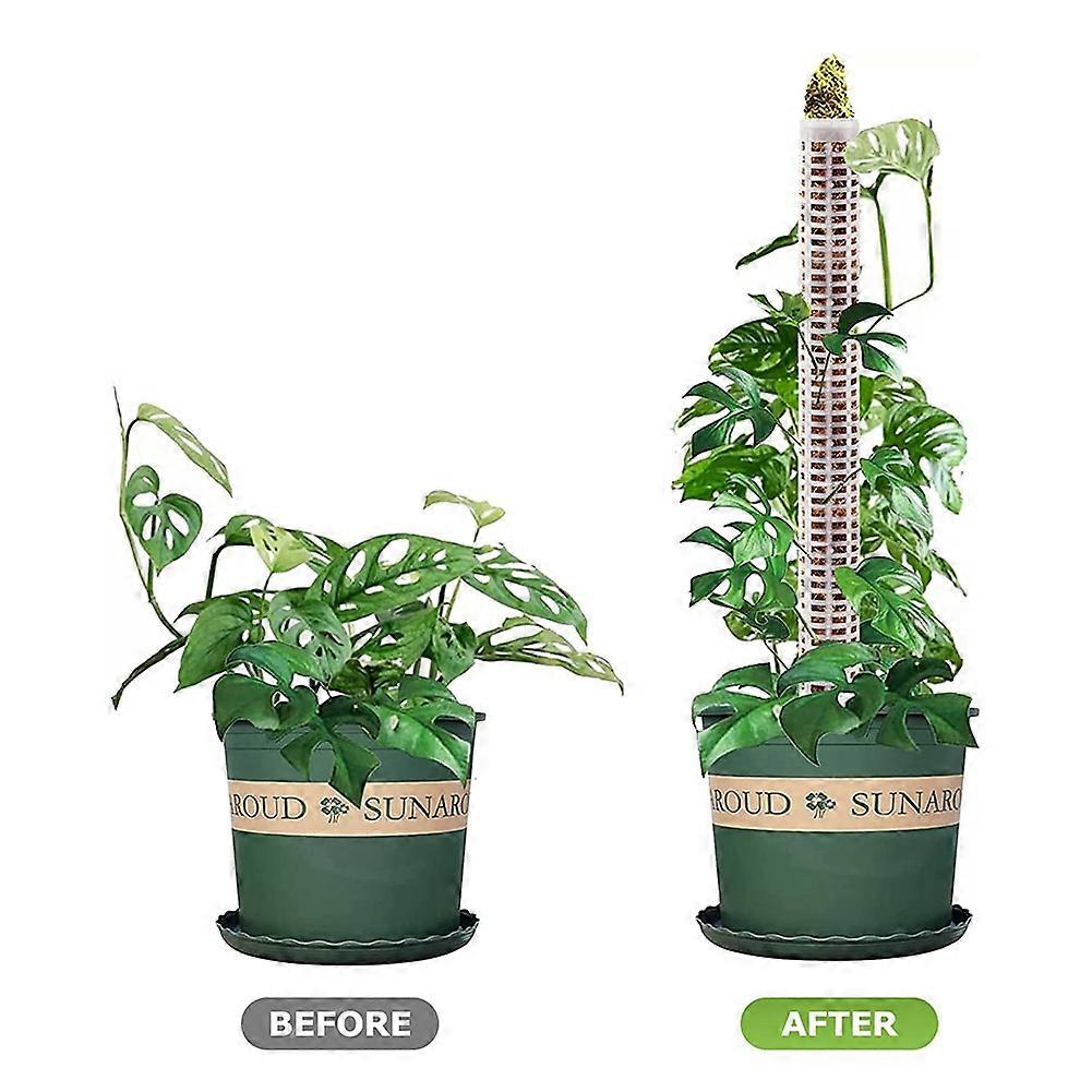 6Pcs Plastic Moss Pole 15 Inch Transparent Moss Mesh Pole Small Moss ...