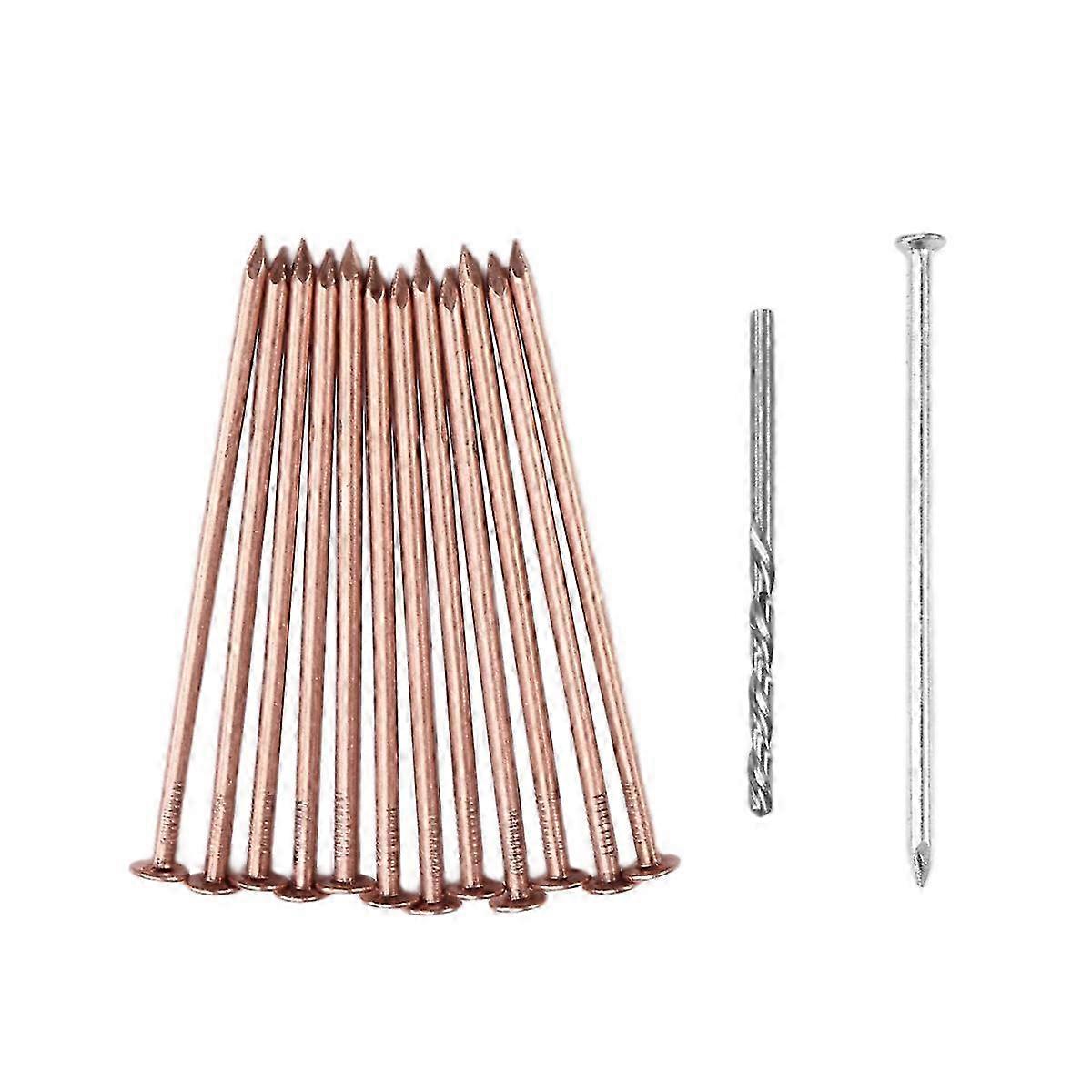 2025 Copper Nails Kit to Killing Trees,3.5 Inch Pure Copper Nails Bulk ...