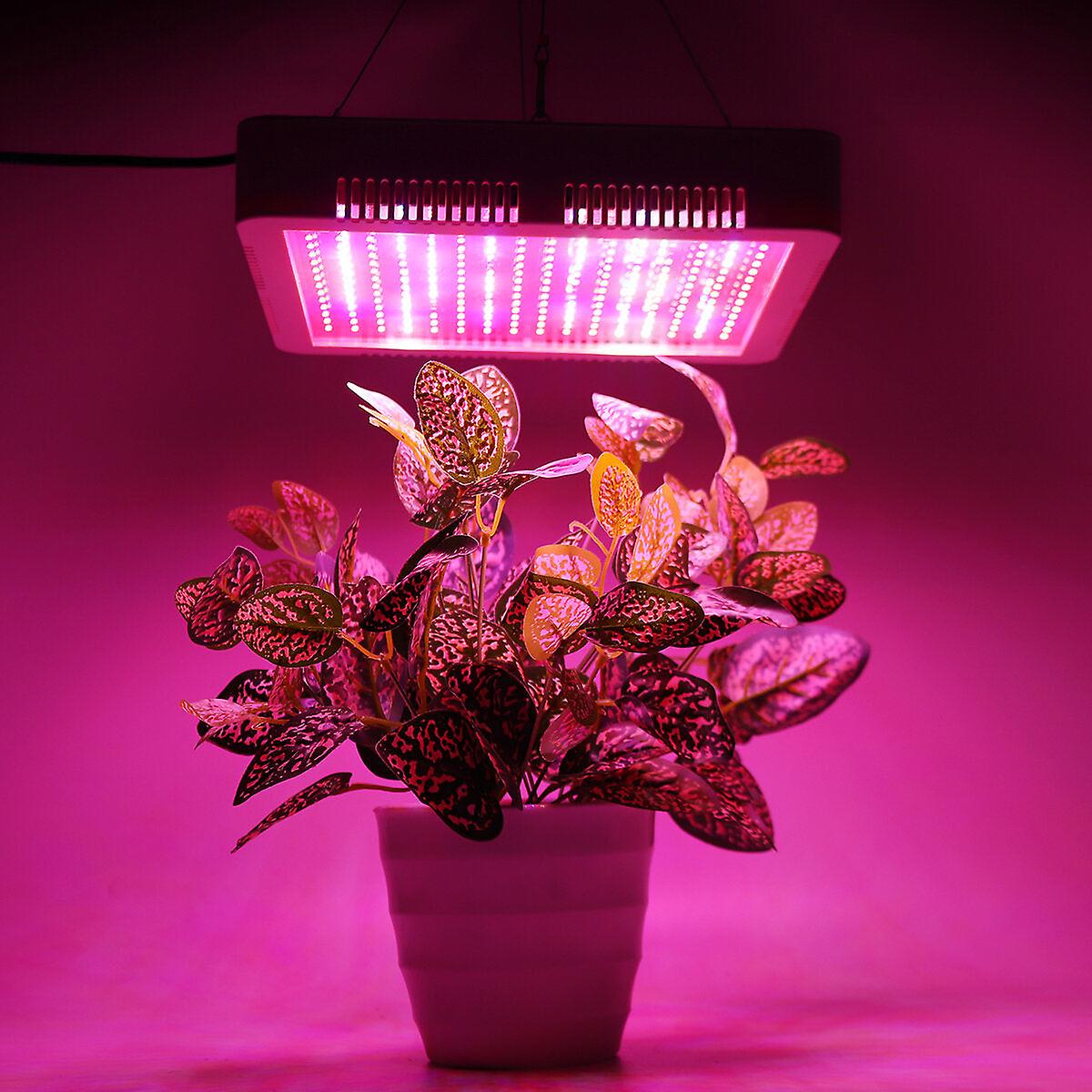 240 Leds plant grow light veg bloom lamp indoor greenhouse garden full ...