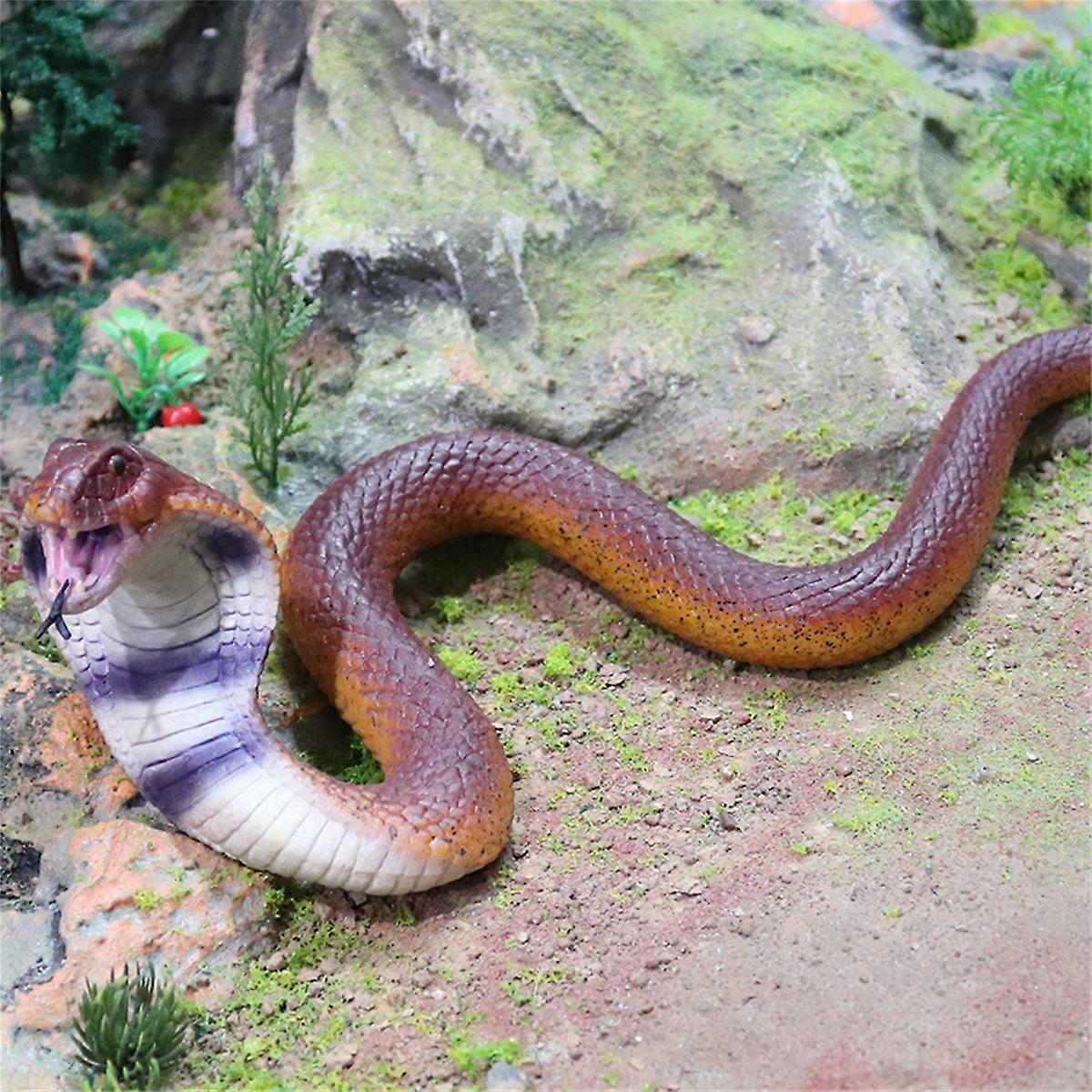 Snake Model Cobra Boa Constrictor Rattlesnake Golden Python Wild Animal ...