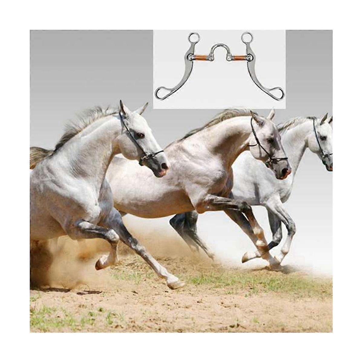 Stainless Steel Snaffle Bit Horse Bits Western Snaffle Bits for Mouth ...