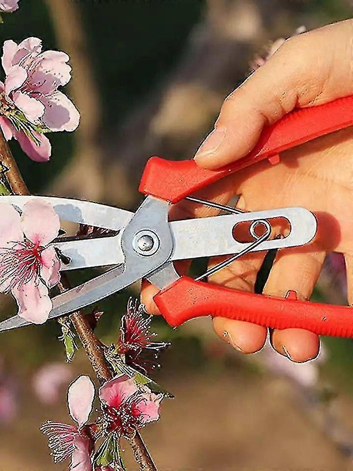 Stainless Steel Forge Apple Tree Pear Scissors Double Mouth Scissors ...
