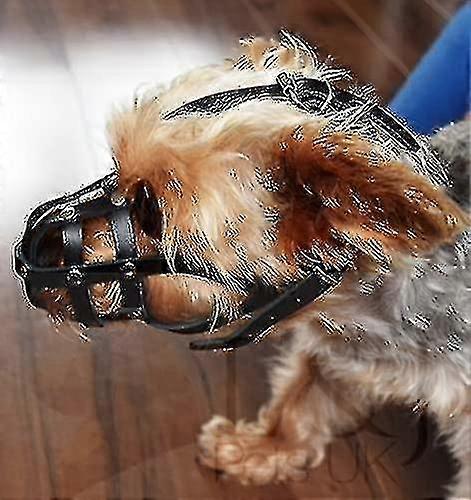 Light Leather Dog Muzzle For Chihuahua Yorkshire Terrier Mini Pitcher ...
