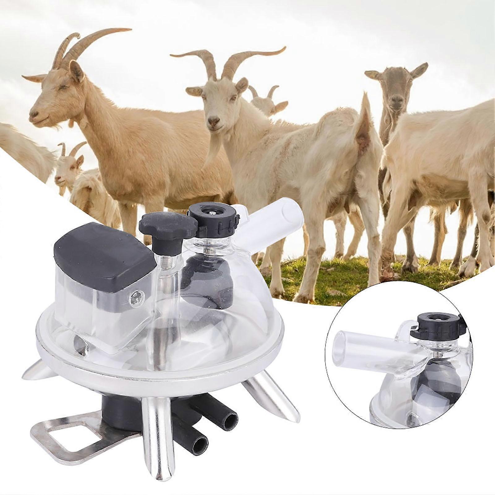 Stainless Steel Base 240cc Farm Milking Claw Sheep Cow Milk Collector ...