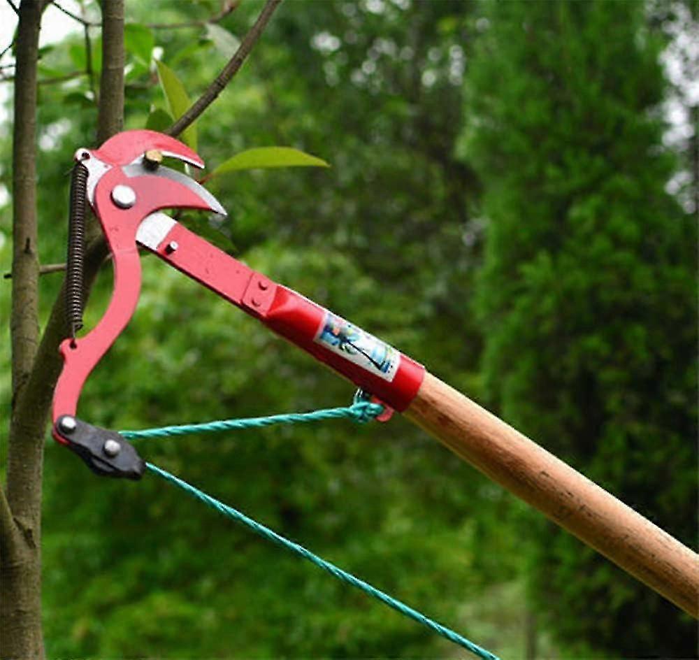 Telescopic Fruit Picker Telescopic Gardening Loppers Telescopic Branch ...