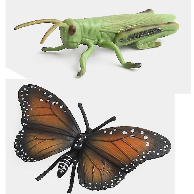 Children's Realistic Insect And Insect Animal Model Doll Toy 8-piece ...