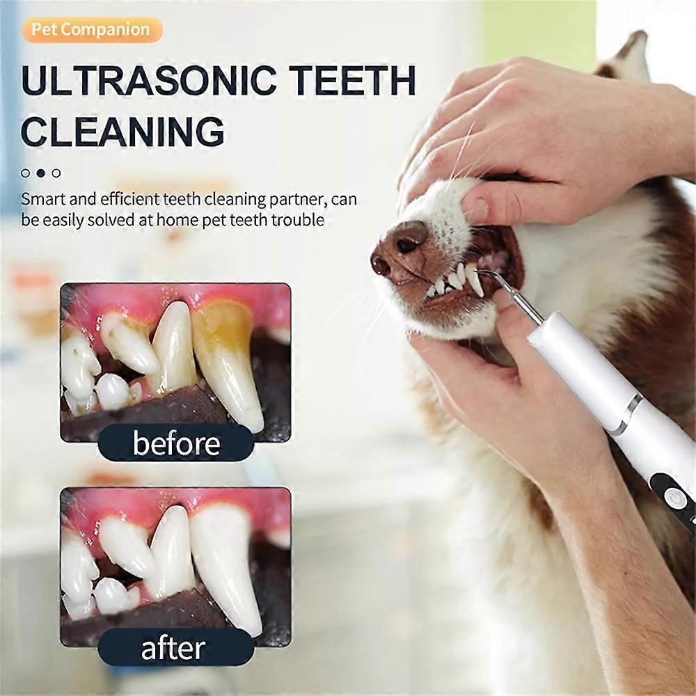 Ultrasonic Toothbrush For Dogs And Cats Removes Tartar Pet's Dental ...