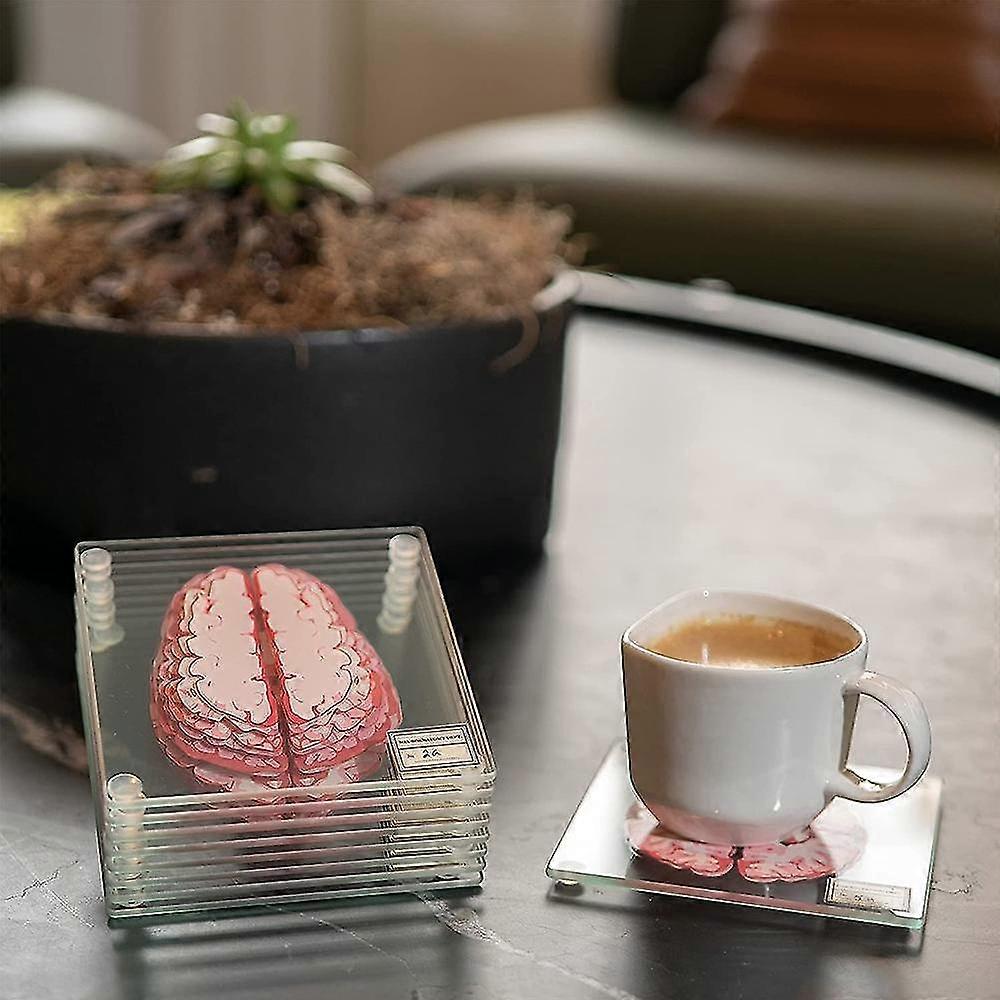 Anatomic Brain Specimen Coasters-gifts For Medical Student Gifts Brain ...