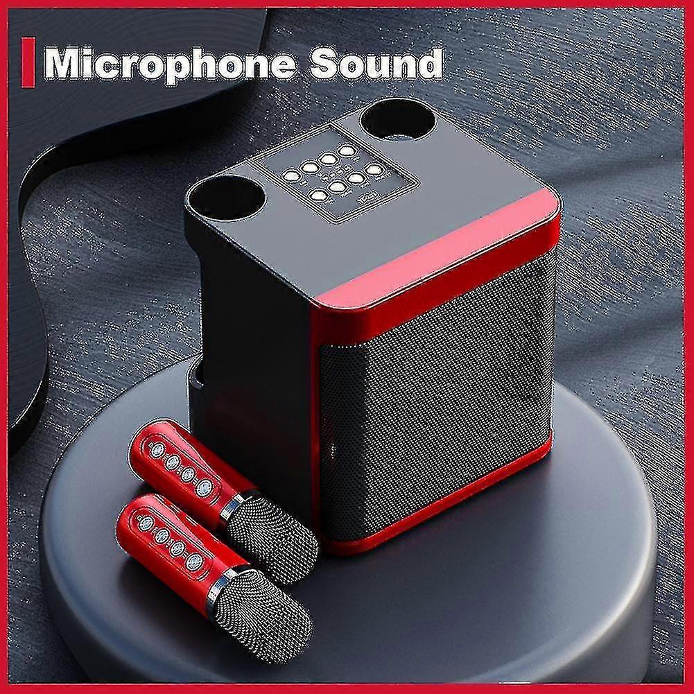 100w Portable Professional Karaoke Speaker Dual Wireless Karaoke ...