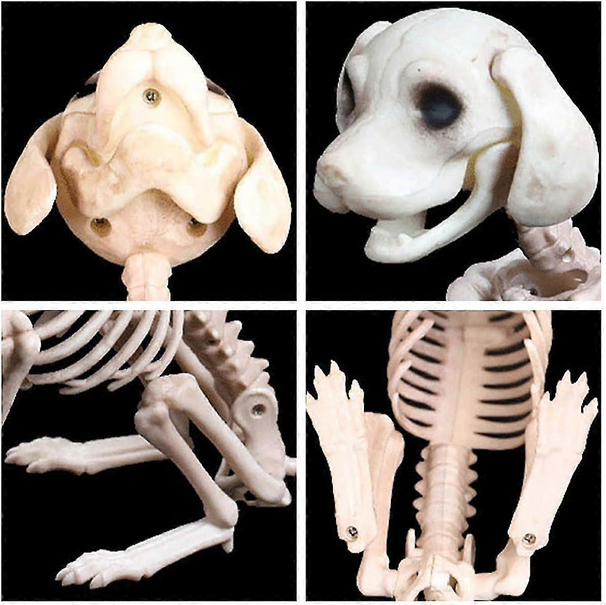 Halloween Decoration, Halloween Skeleton Puppy, Mini Poodle Dog ...