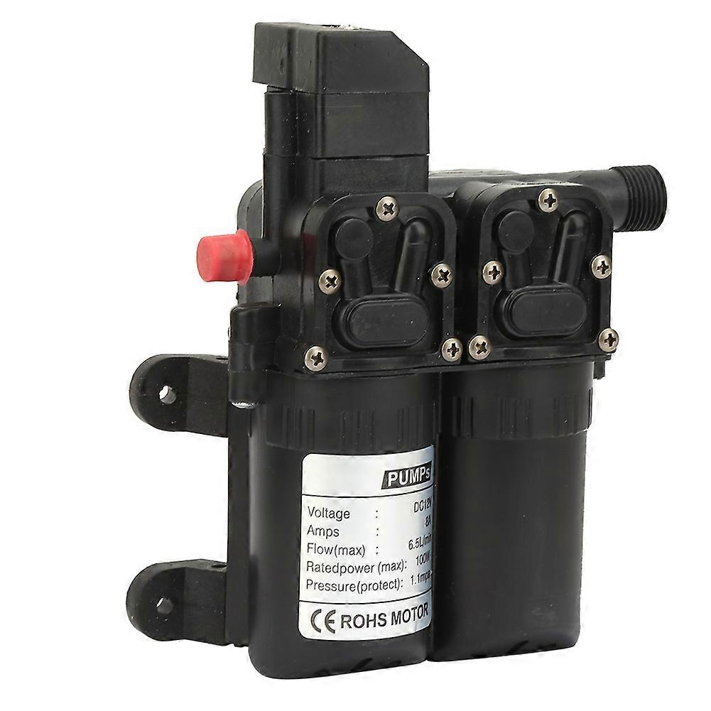 Dubbelsugning Elektrisk Självsugande Membran Vattenpump 12V 100W (svart ...