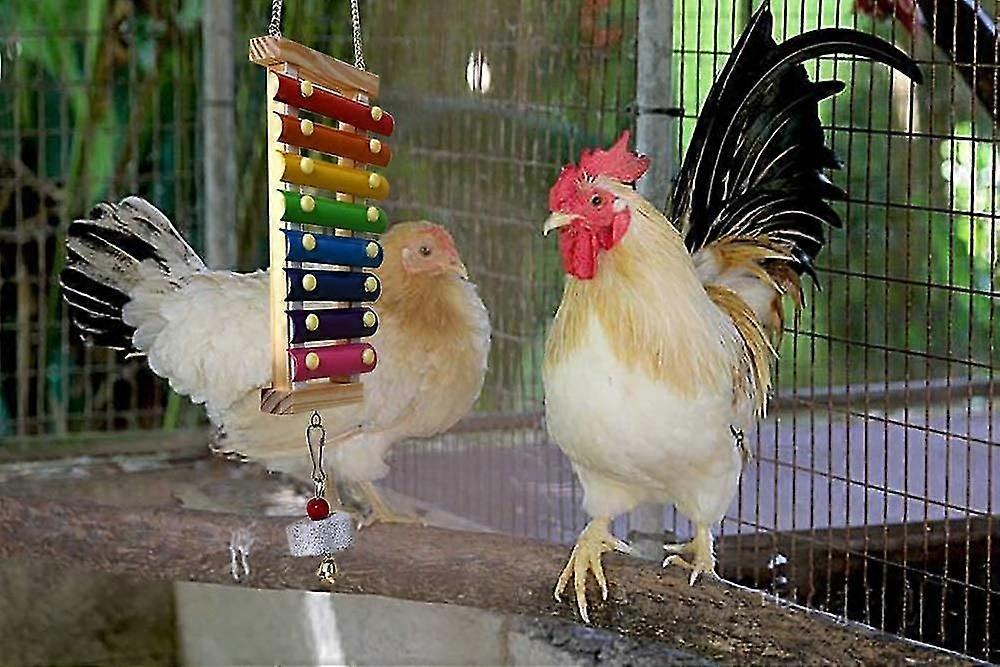 Chicken Xylophone Toy For Hens Suspensible Wood Xylophone Toy With 8 ...