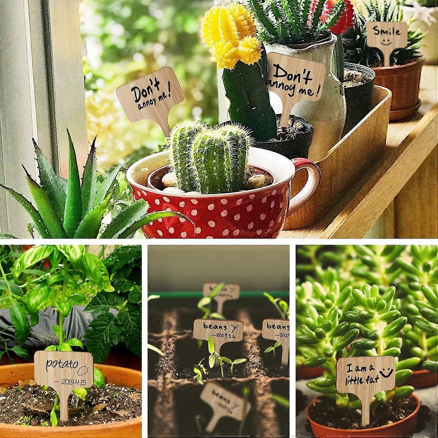 50 pieces of bamboo plant labels, T-shaped wooden plant labels, seed ...