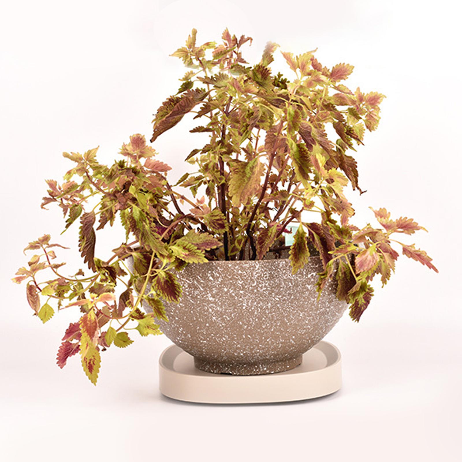 Pot Trays Pedestals Garden With Removable Wheels, Ideal For Moving ...